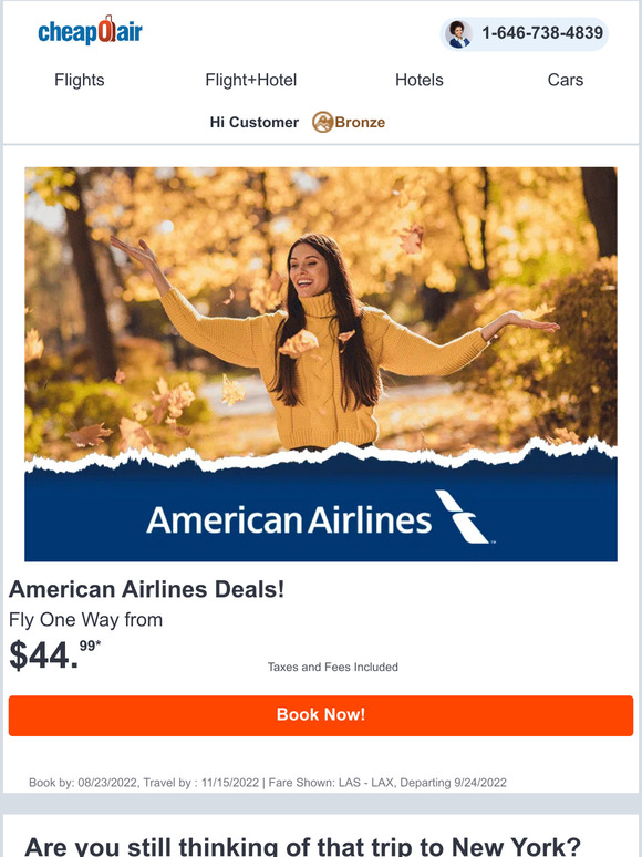 CheapOair: American Airlines Deals! Fly from $44.99 | Milled