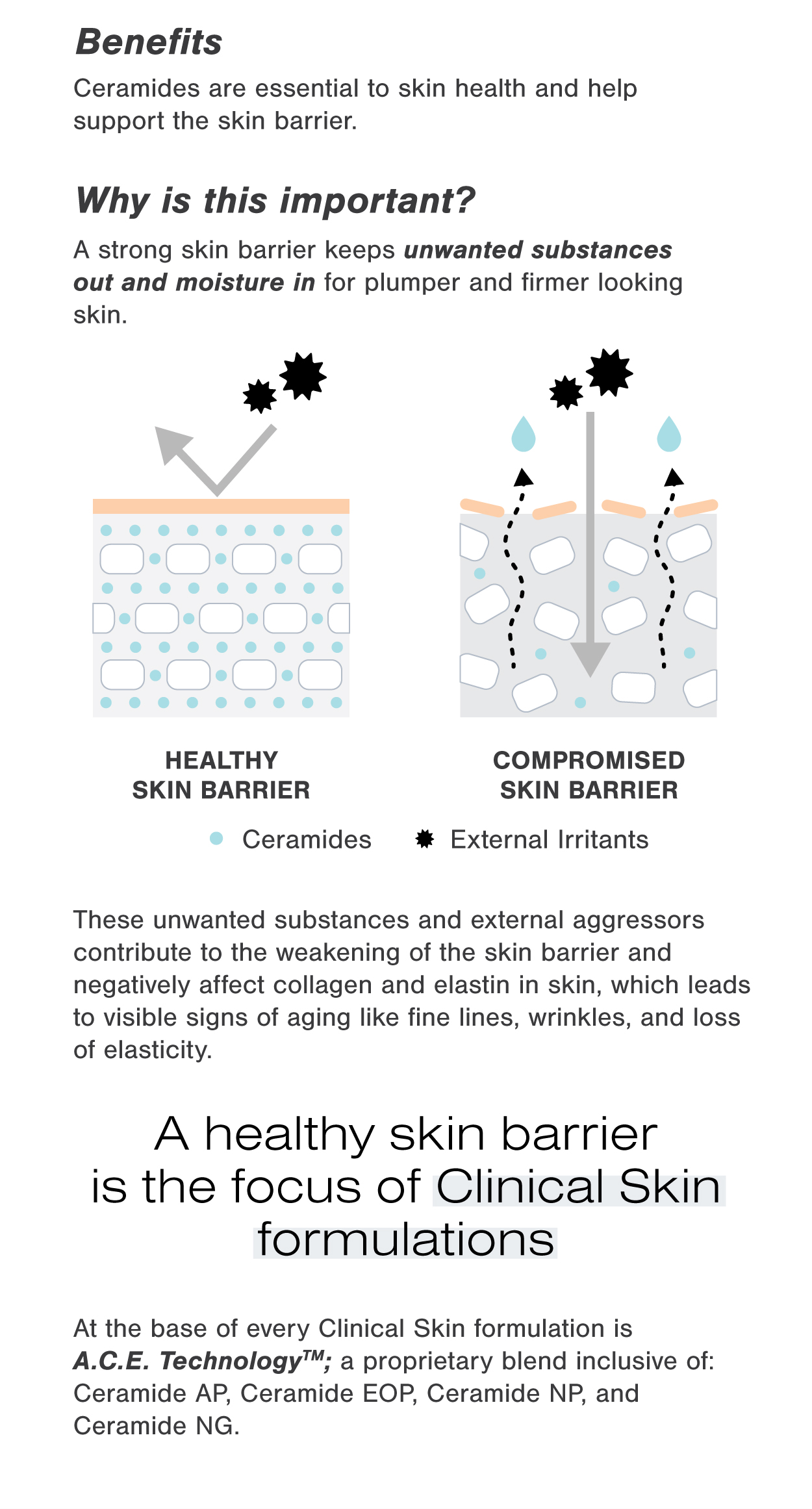 Clinical Skin: What Keeps Skin Moisturized and Plump? | Milled