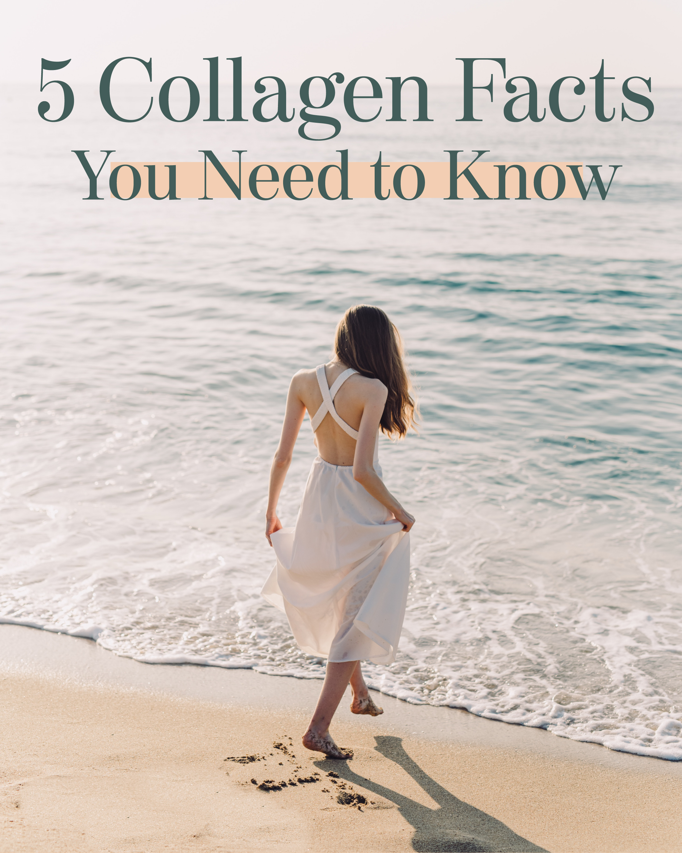 Green Tea: 5 Collagen Facts You Need to Know | Milled
