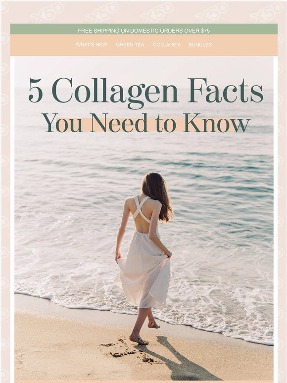Green Tea: 5 Collagen Facts You Need to Know | Milled