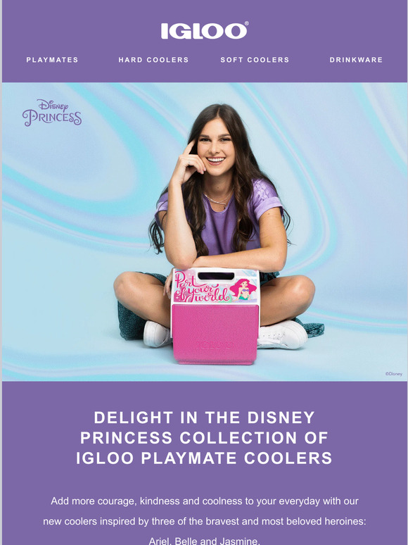 Igloo Coolers: The Disney Princess Collection of Igloo Playmate coolers ...