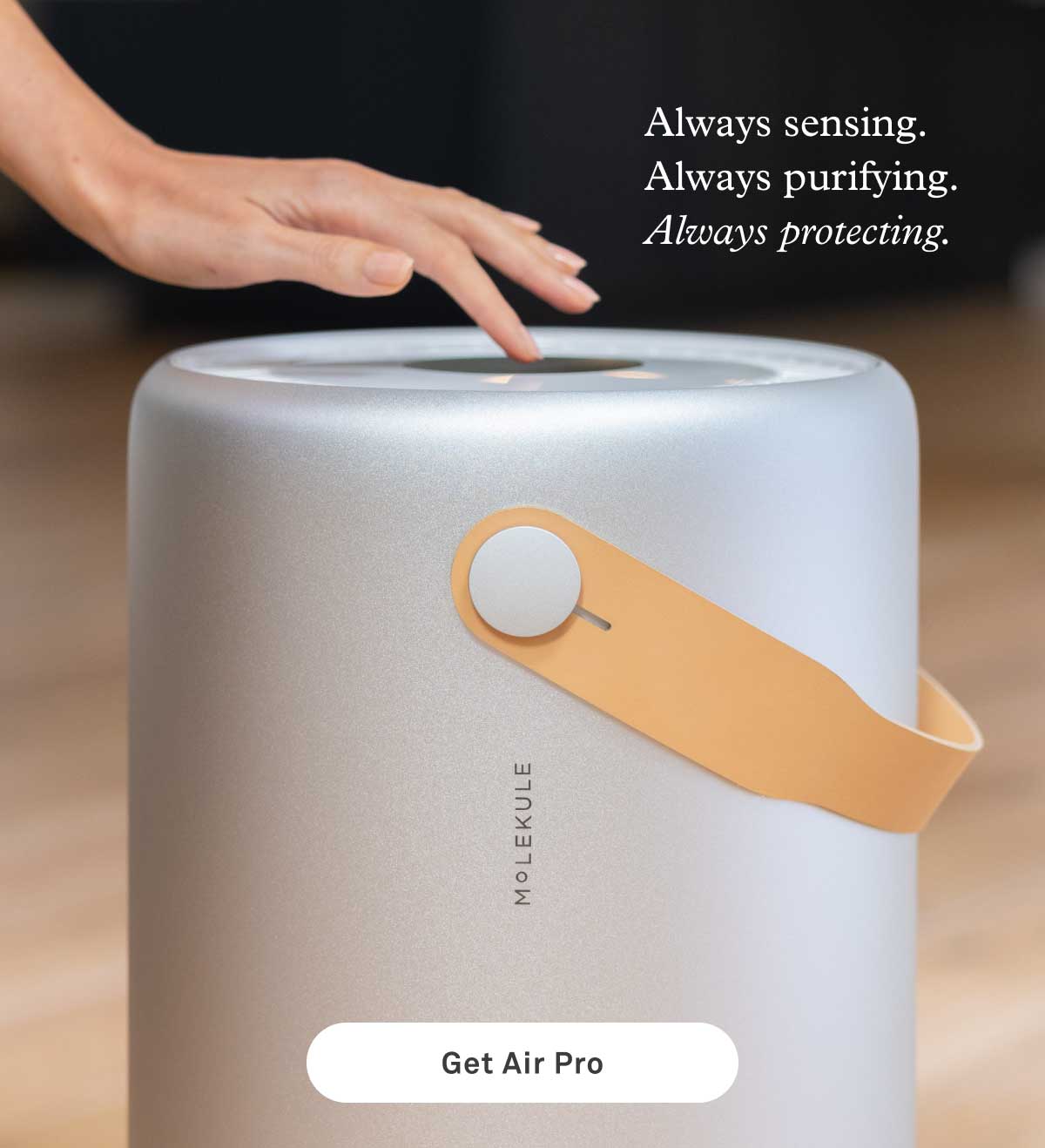 Molekule: New air history stats are here 🥳 | Milled