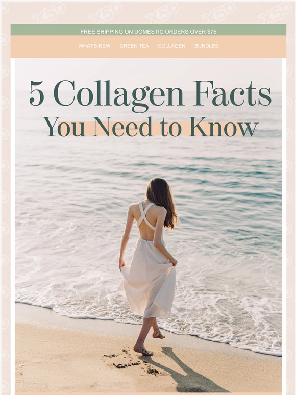 X50 Lifestyle: 5 Collagen Facts You Need to Know | Milled