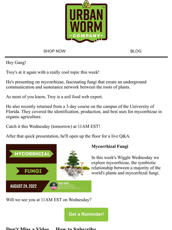 Urban Worm Company: Magical Mycorrhizae: Soil's Underground Highway ...