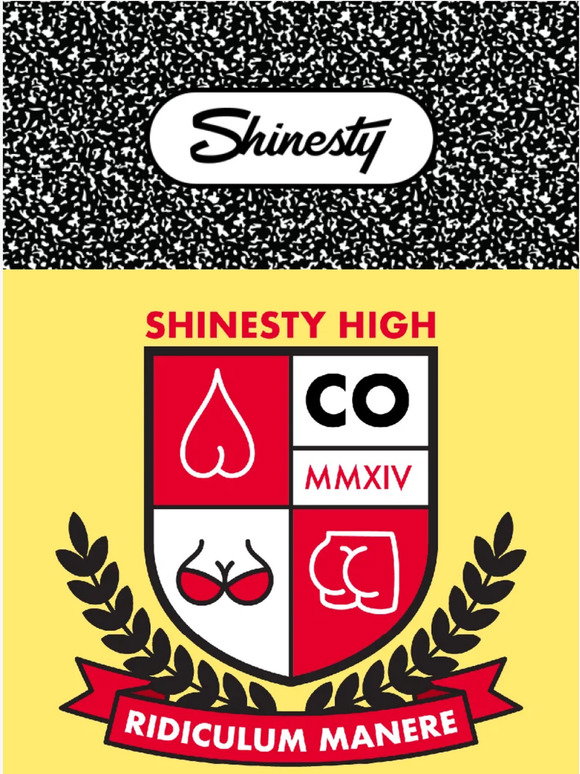 Shinesty: See Why This Underwear Got Detention | Milled