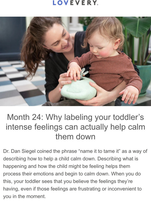 Lovevery: Dr. Dan Siegel "name it to tame it" philosophy helps children ...