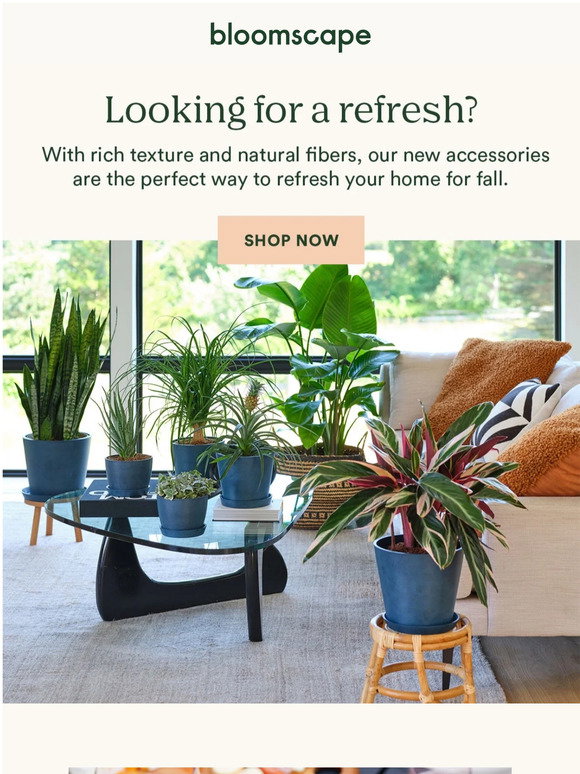 Bloomscape: Refresh Your Space | Milled