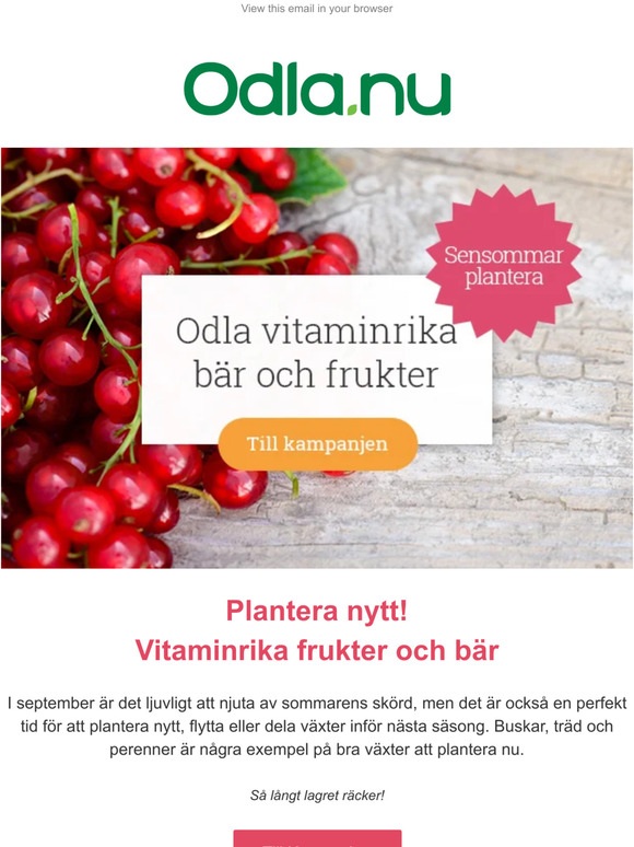 Odla: Plantera nytt! Vitaminrika frukter och bär | Milled