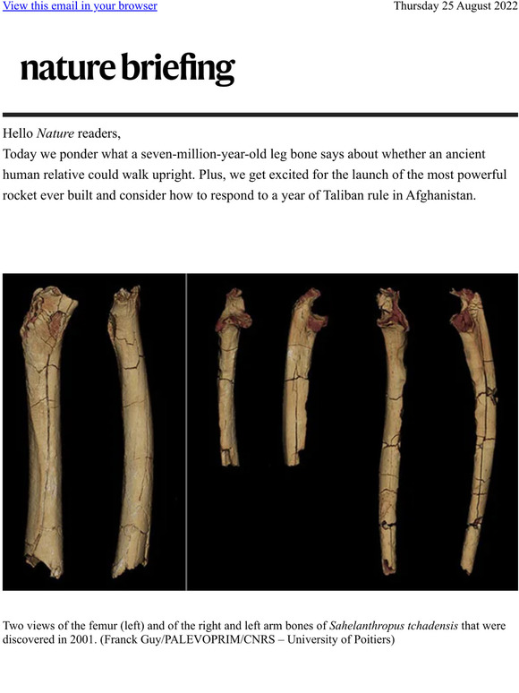 Nature: Seven-million-year-old femur suggests ancient human relative ...