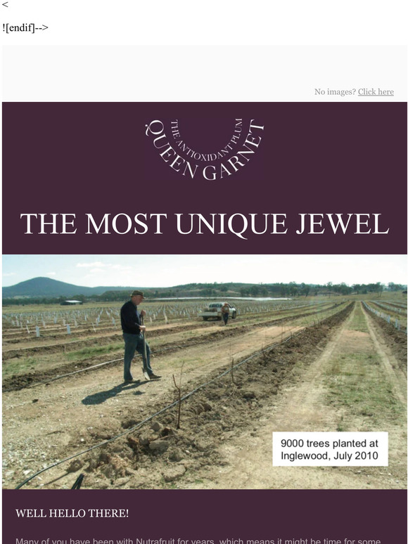 Queen Garnet: The Queen Garnet Origin Story | Milled