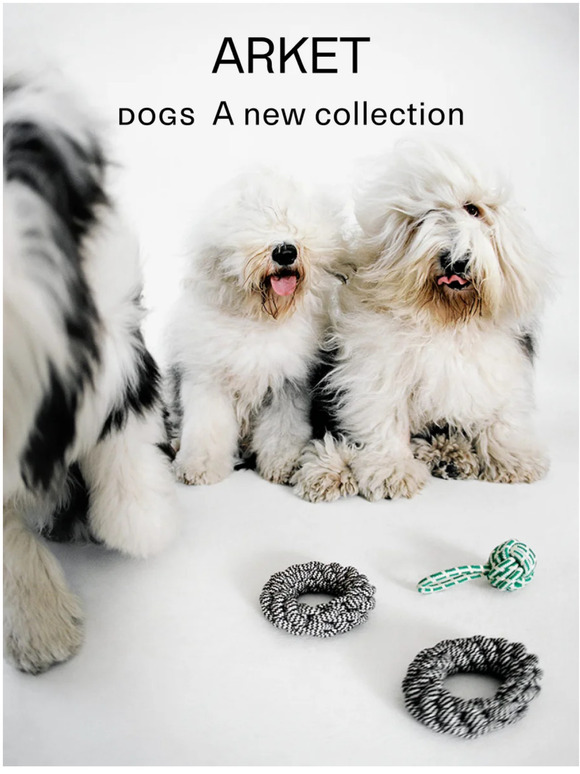 ARKET: Introducing ARKET for dogs | Milled