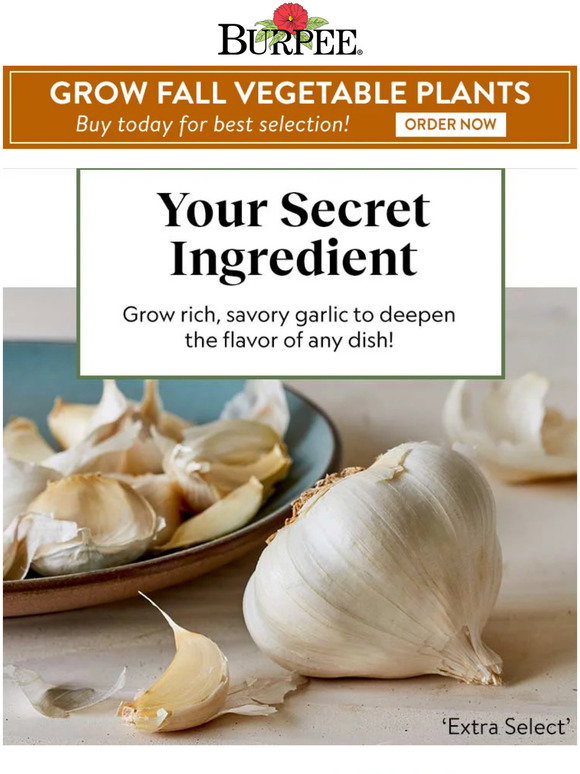 Burpee Gardening: The Secret Ingredient? Homegrown Garlic! | Milled