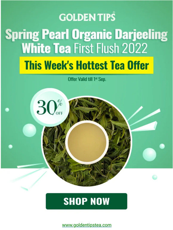 Golden Tips Tea: Hottest Tea Offer of the Week | Milled