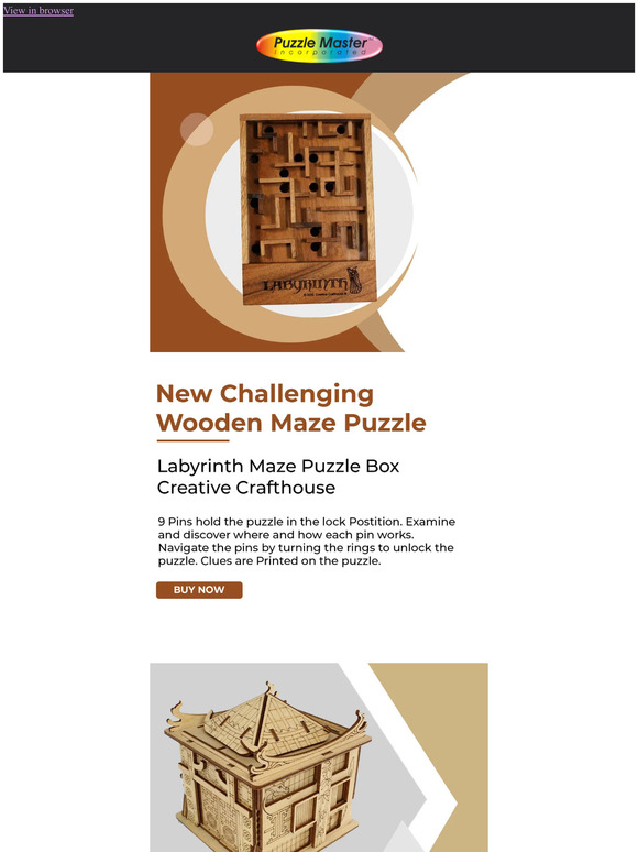 Puzzle Master: —, Fascinating Wooden Puzzle Box for everyone to enjoy ...