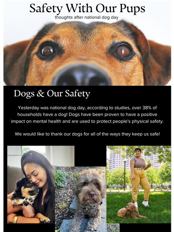 Flare: Dogs & Our Safety 🐶 | Milled