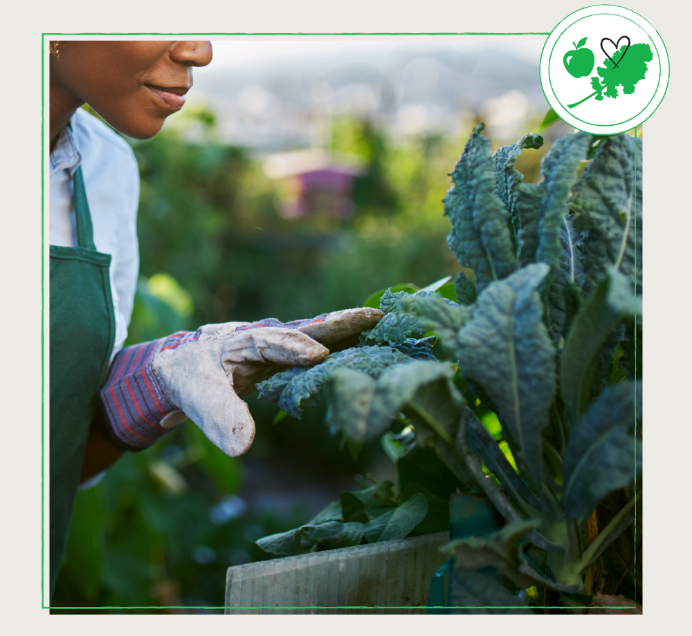 Open Farm: Never forget to eat your veggies 🥬🥕 | Milled