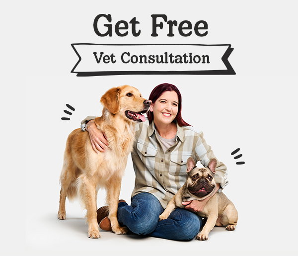 Front of the Pack: Free Vet Consultation for Your Fur Baby | Milled