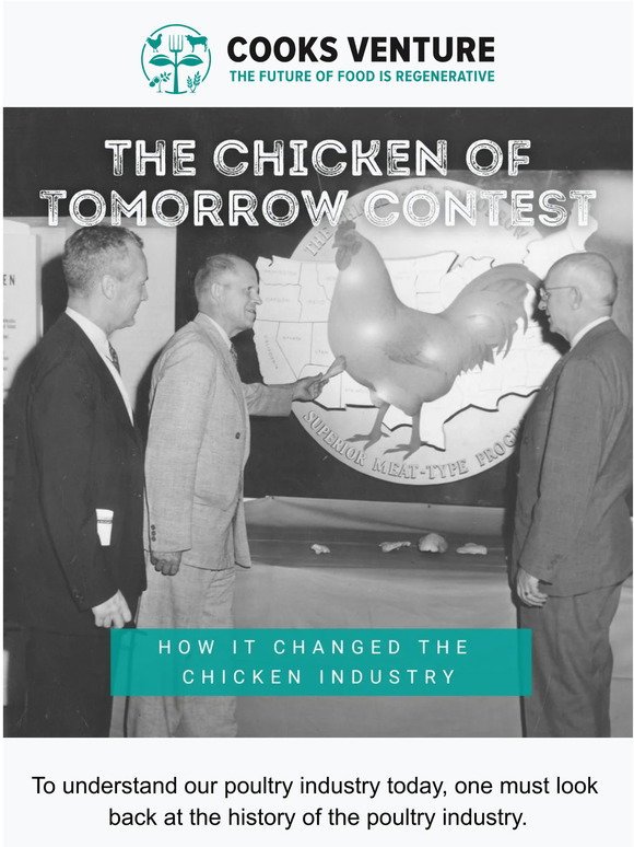 Cooks Venture: The Contest That Changed The Chicken Industry | Milled