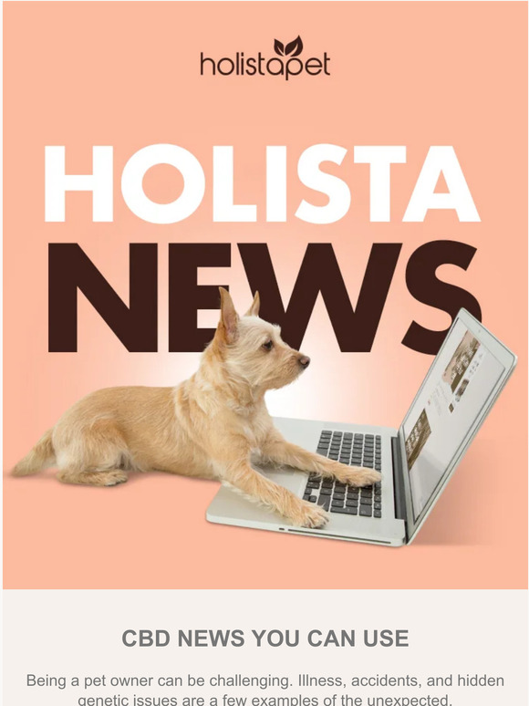 Holista Pet: Understanding why your dog is crying | Milled