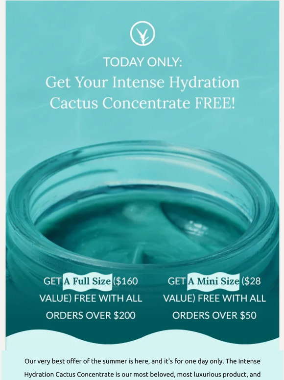 Bambu Earth: IT'S HERE! Get Our Intense Hydration Cactus Concentrate ...