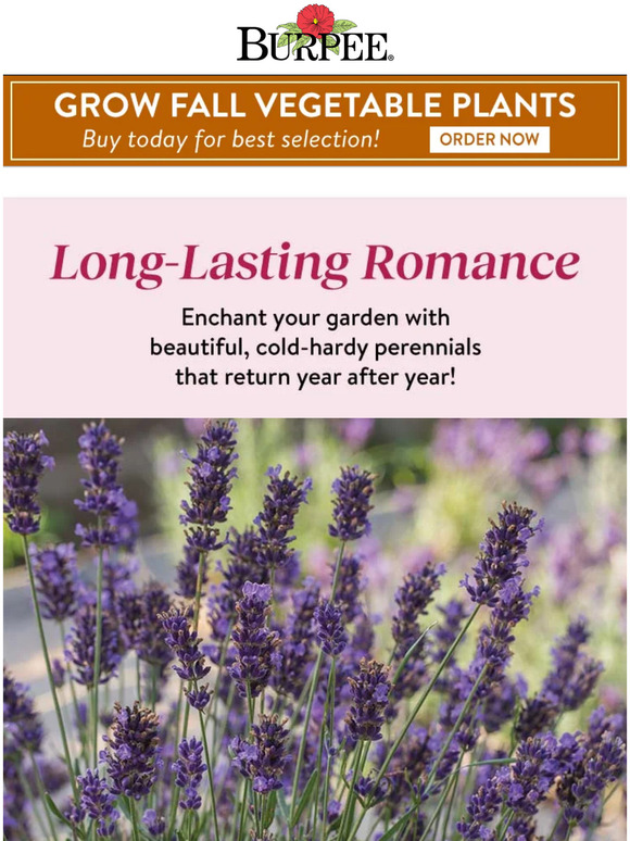 Burpee Gardening: Cold-Hardy Flowering Perennials | Milled