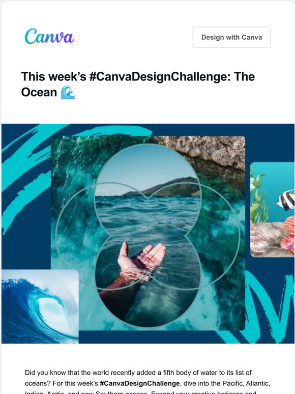 Canva: Make a splash for a chance to win 🌊 | Milled