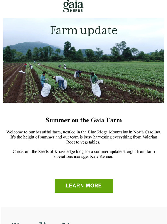 Gaia Herbs: Summer on the Gaia Farm | Milled