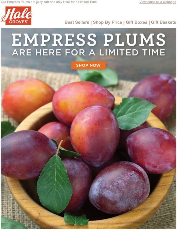 Hale Groves: New Empress Plums are Here for a Limited Time - Get yours ...