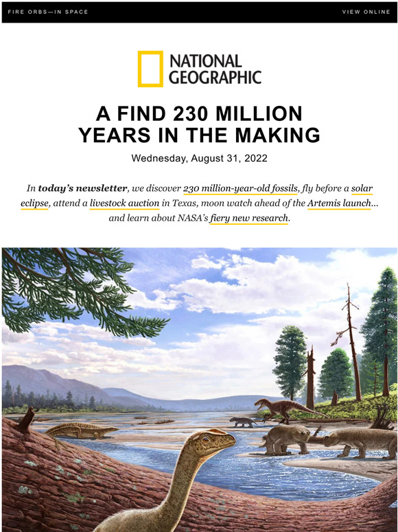 National Geographic: Stunning discovery: Africa's oldest known dinosaur ...