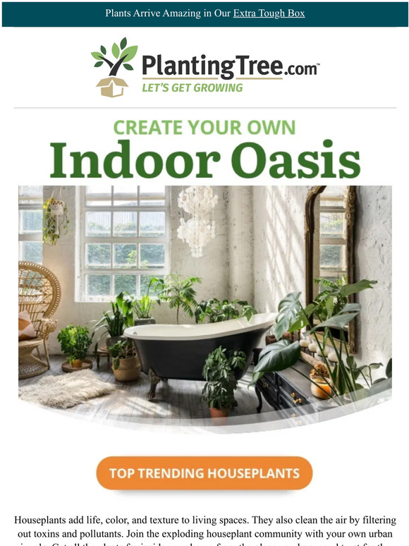 PlantingTree: 🪴 Trending Houseplants | Milled