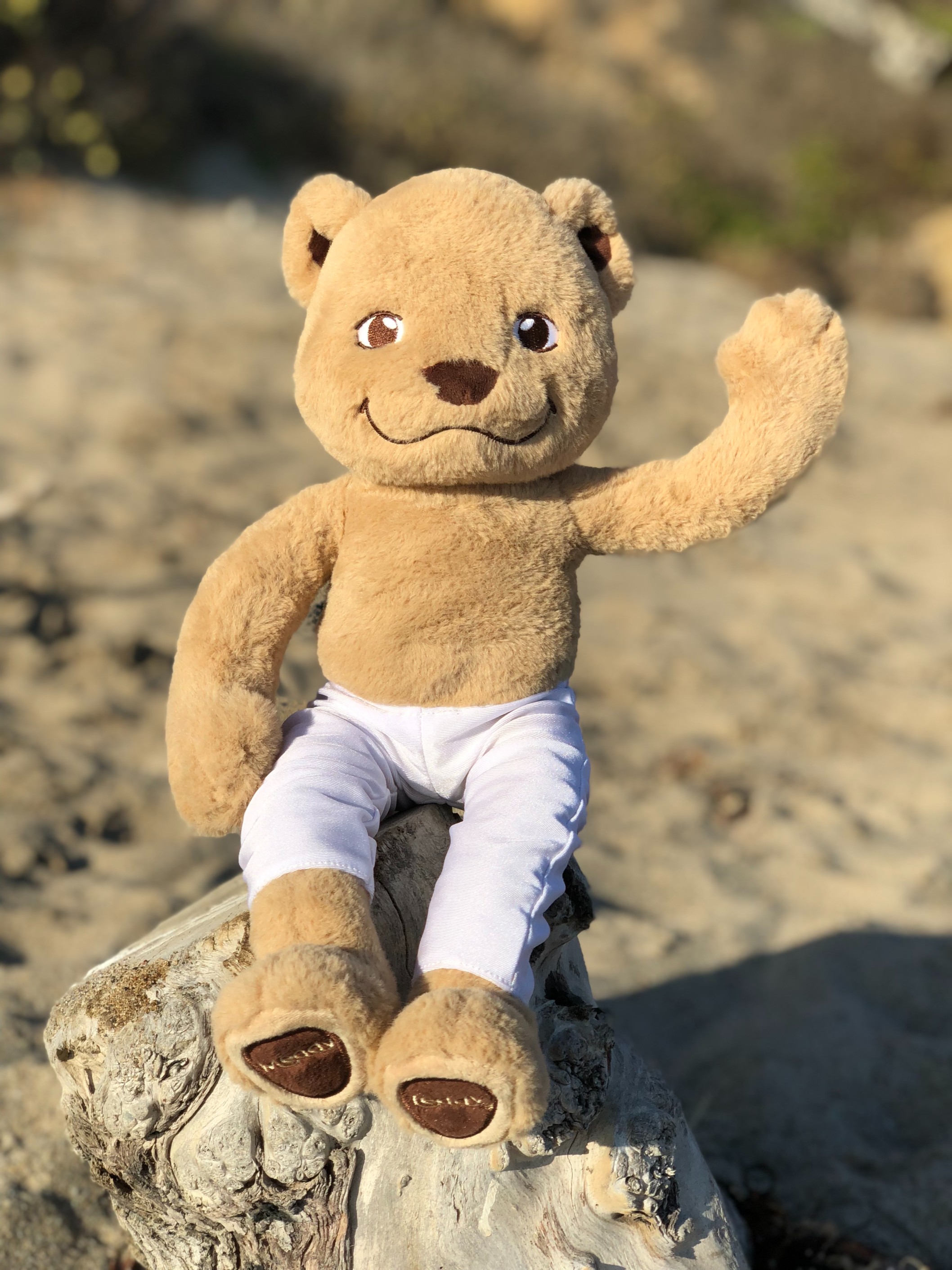Meddy Teddy: Meddy Teddy Eyes Open: He's Finally Awake! | Milled