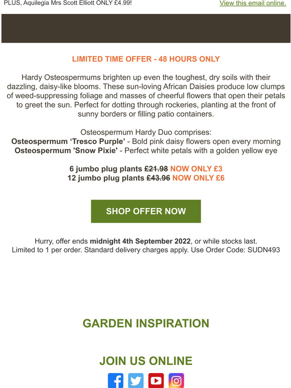 Dobies: Hardy Osteospermum Duo ONLY 50p per plant! | Milled