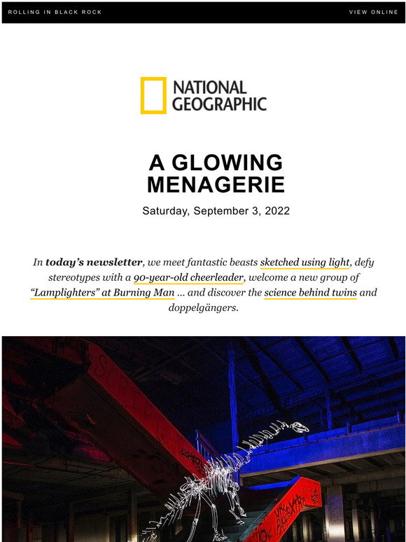 National Geographic: How one photographer ‘paints’ brilliant creatures ...