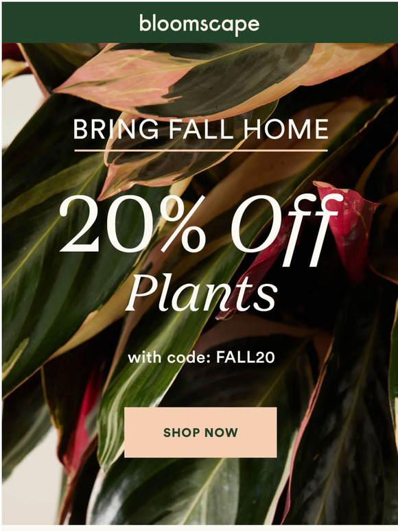 Bloomscape: 20% Off PLANTS 🪴 | Milled