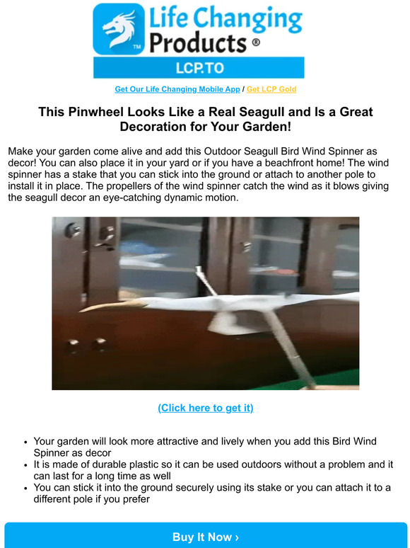 Life Changing Products: This Pinwheel Looks Like a Real Seagull and Is ...