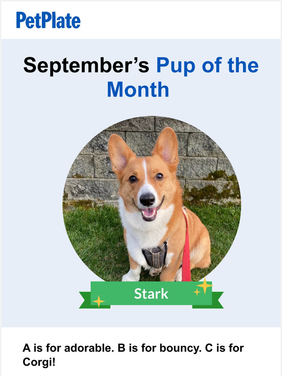 PetPlate: 🐾 Meet September’s Pup of the Month | Milled