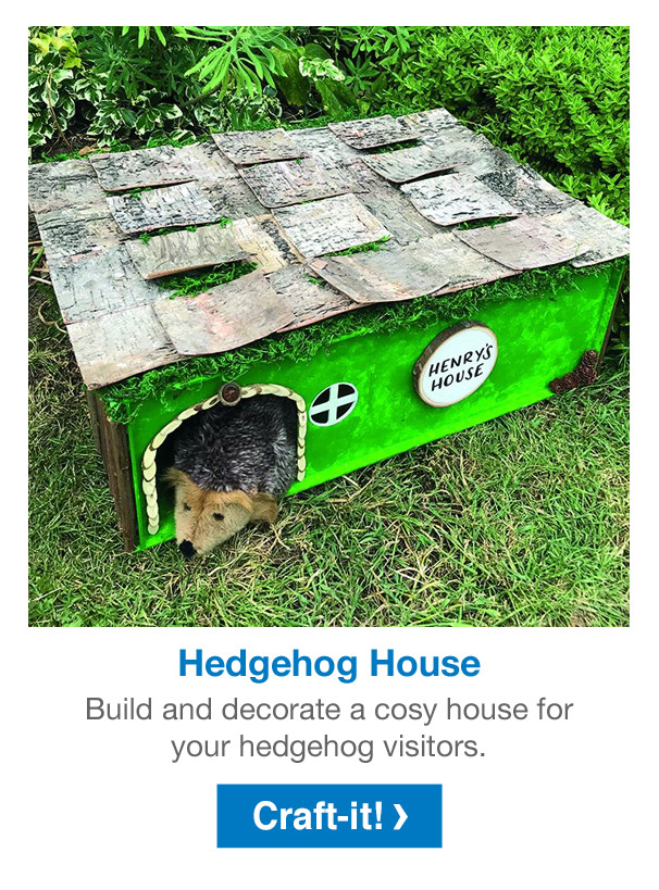 Baker Ross: 🍂 10 Awesome Makes Plus Free Autumn Printables! 🍂 | Milled