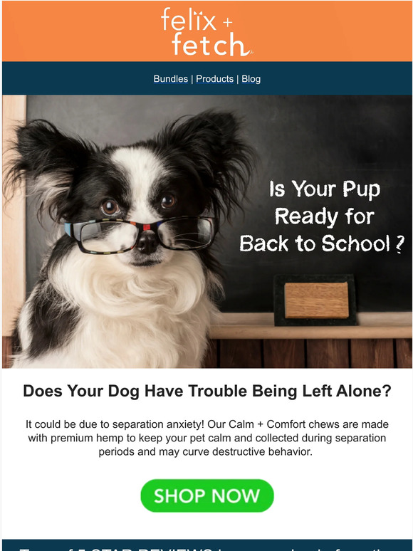 Felix + Fetch: 🐶Trouble leaving your pup home alone? | Milled