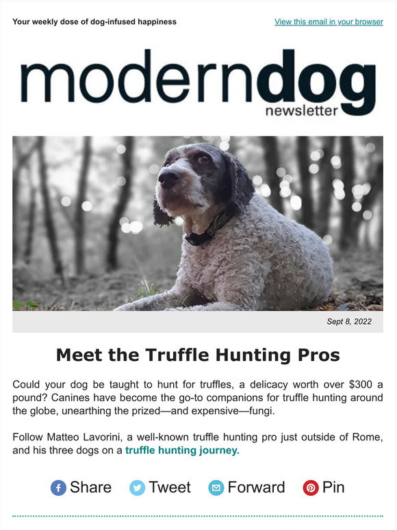 Modern Dog: Meet the Truffle Hunting Pros! | Milled