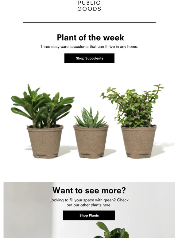 Public Goods: Our final plant of the week is….. | Milled