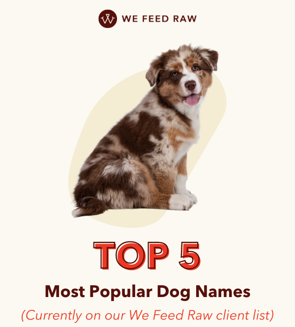 We Feed Raw: The top 5 most popular dog names | Milled
