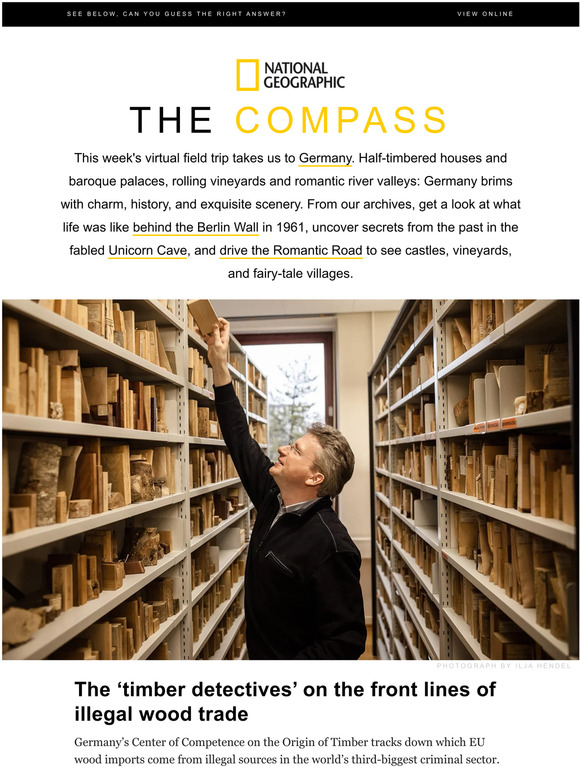 National Geographic: The Compass: Germany's timber detectives and Big ...