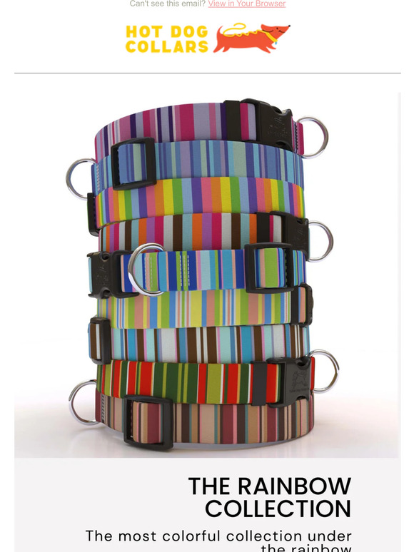 HotDogCollars.com: The Most Colorful Dog Collars You'll Ever Own | Milled
