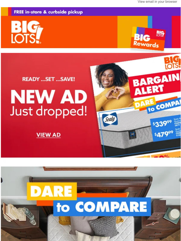 Big Lots: HOORAY 🎉 The new ad is here! | Milled