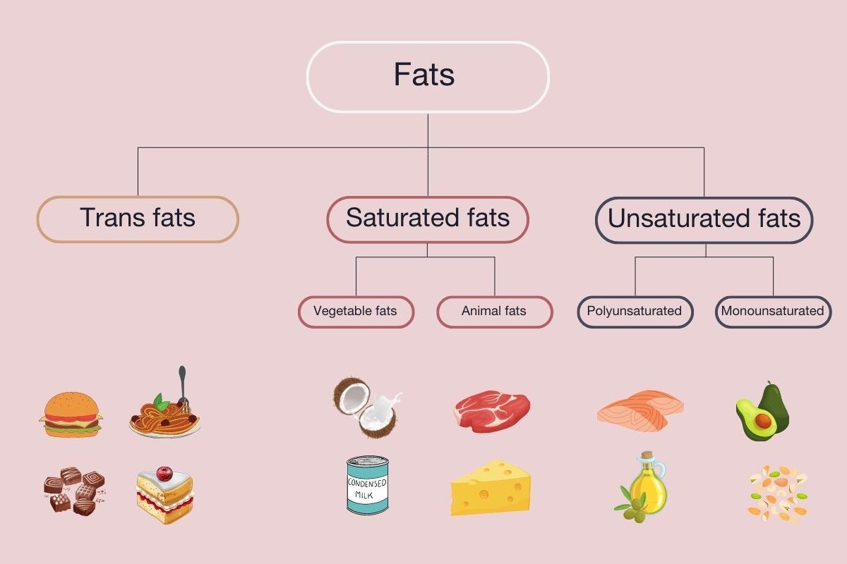 Blue Elvin: Menstrual cycle and eating fats | Milled