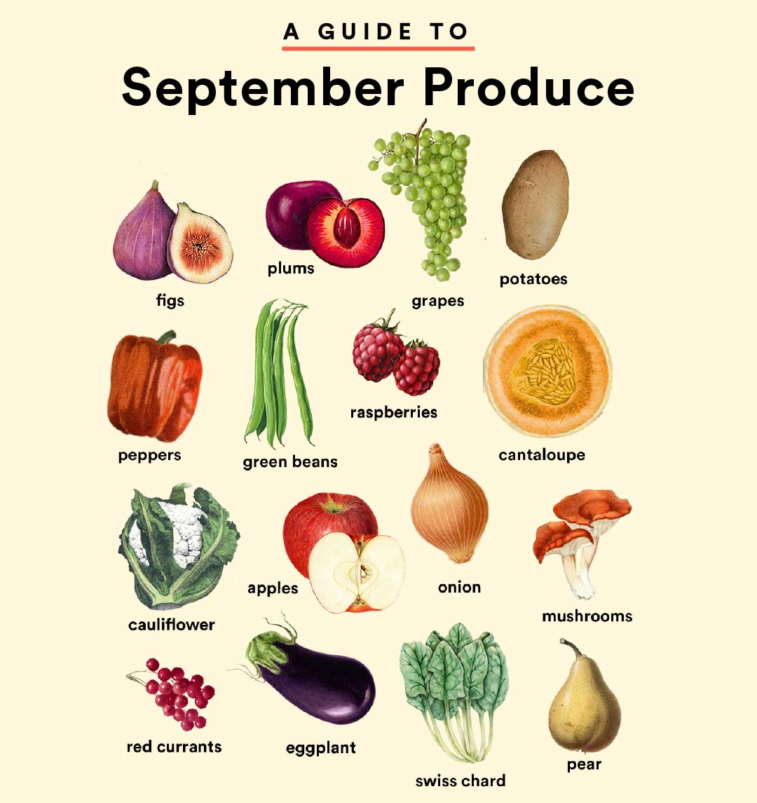 Brightland: What's in season for September? 🍎🍇🥔 | Milled