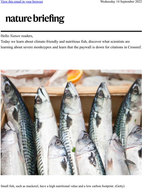 Nature: Eat more fish: the most climate-friendly and nutritious options ...