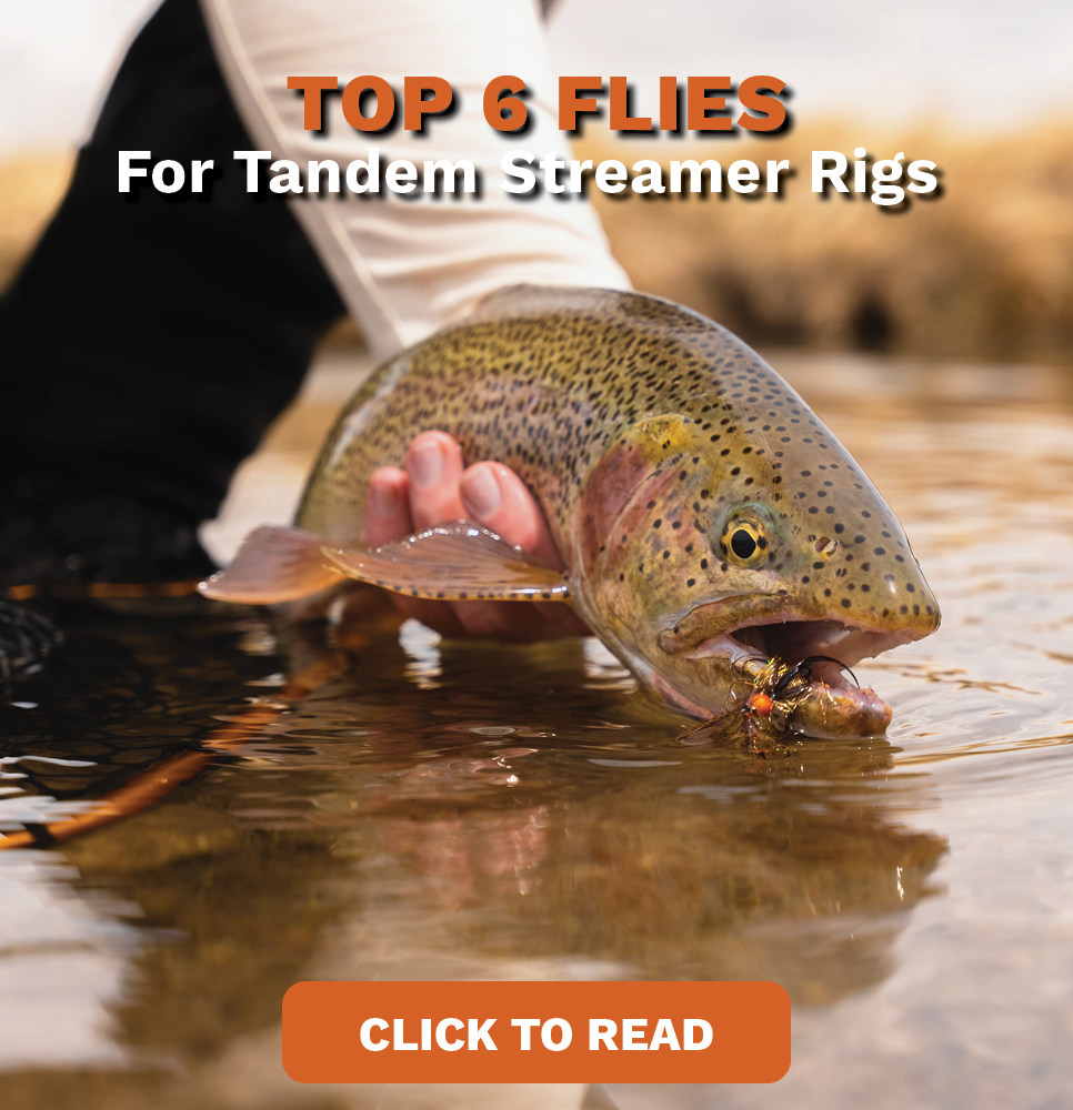 TROUTS Fly Fishing: TOP 6 FLIES FOR TANDEM STREAMER RIGS | Milled