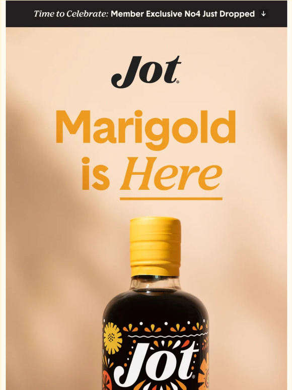 Jot: Introducing Marigold | Milled Jot: Introducing Marigold | Milled