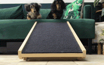Alpha Paw: 5 reasons you need the DachRamp™ | Milled